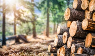 Timber Durability Guide | Blog | EcoChoice