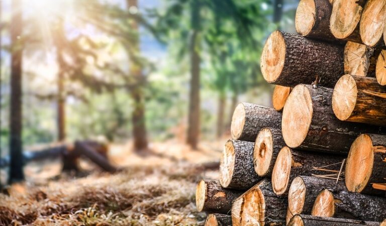 Timber Durability Guide | Blog | EcoChoice