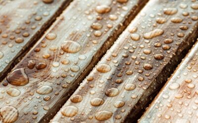 Wood Moisture Content Guide | EcoChoice