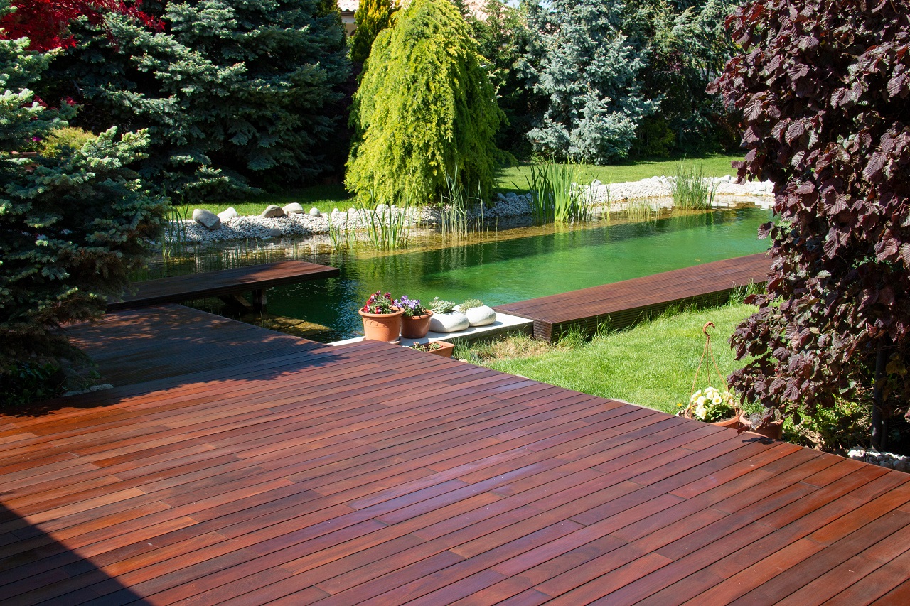 Discover Cumaru Decking | Ecochoice