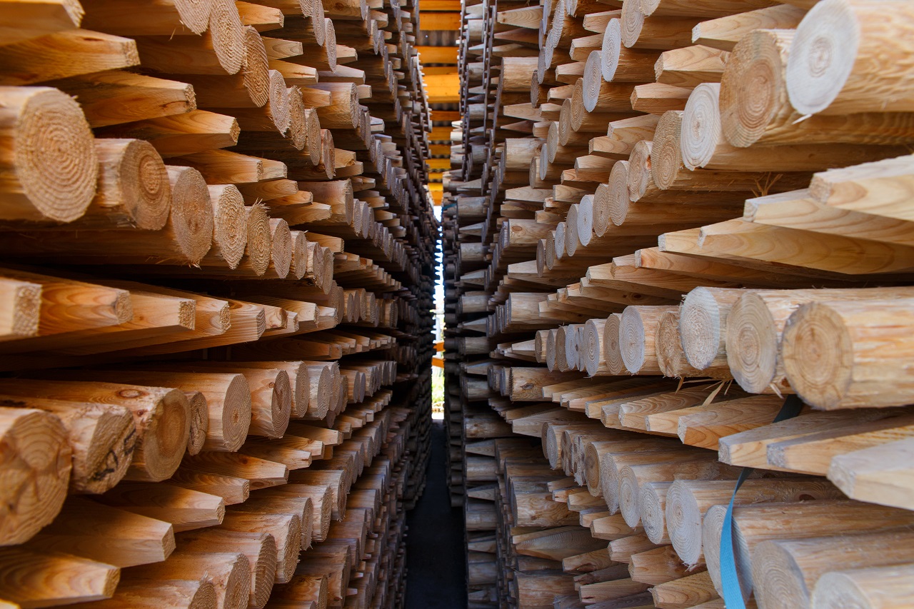 Timber Strength Grading Guide | Ecochoice