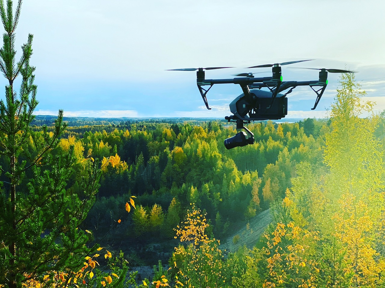 Latest Innovations in Forestry | Ecochoice
