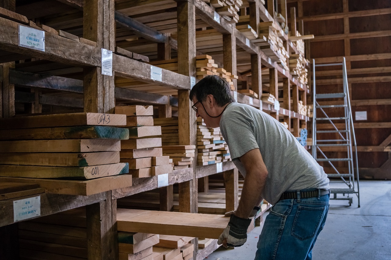 Softwood vs Hardwood Timber Types | Ecochoice