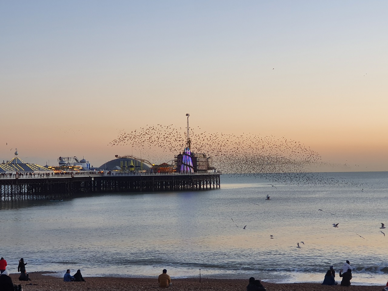 History of the Great British Pier | Ecochoice