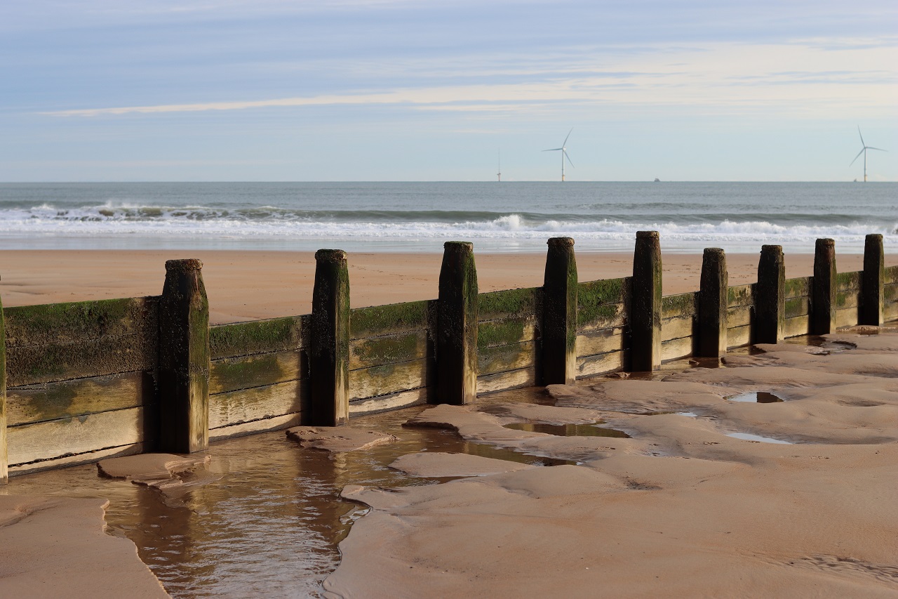 Hardwoods for Coastal Defences | Ecochoice