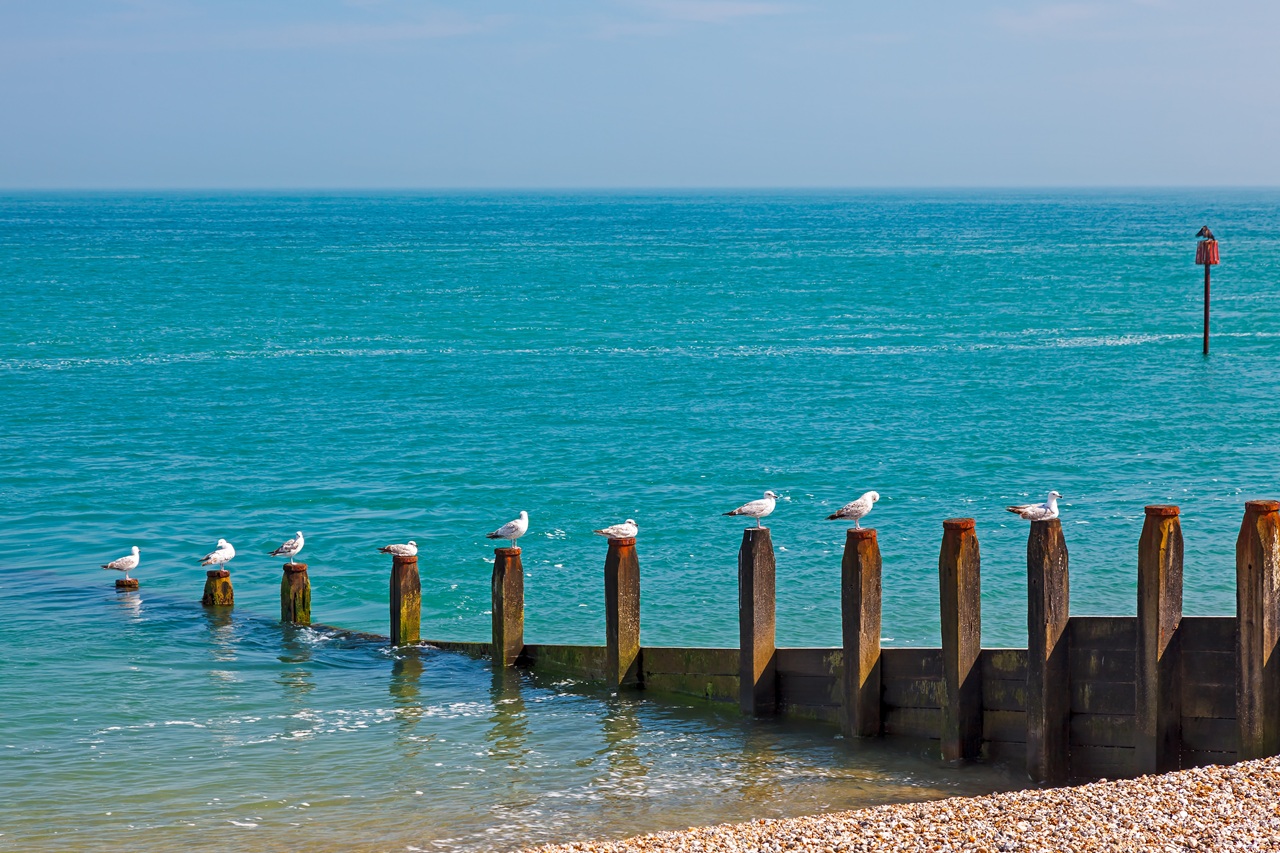 Best Timber for Marine Developments | Ecochoice
